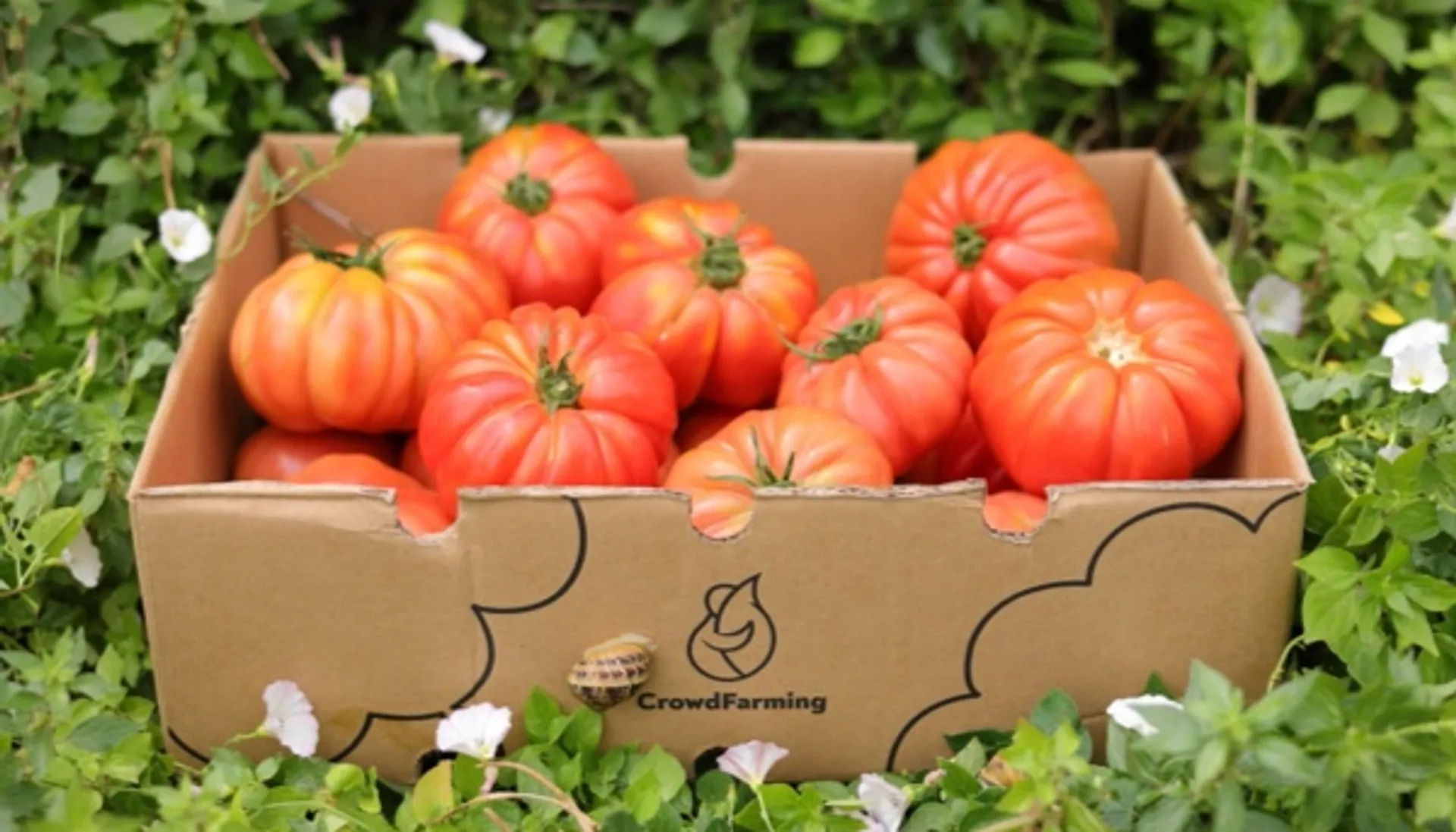 Kaufe Obst der Saison direkt vom Bauern | CrowdFarming