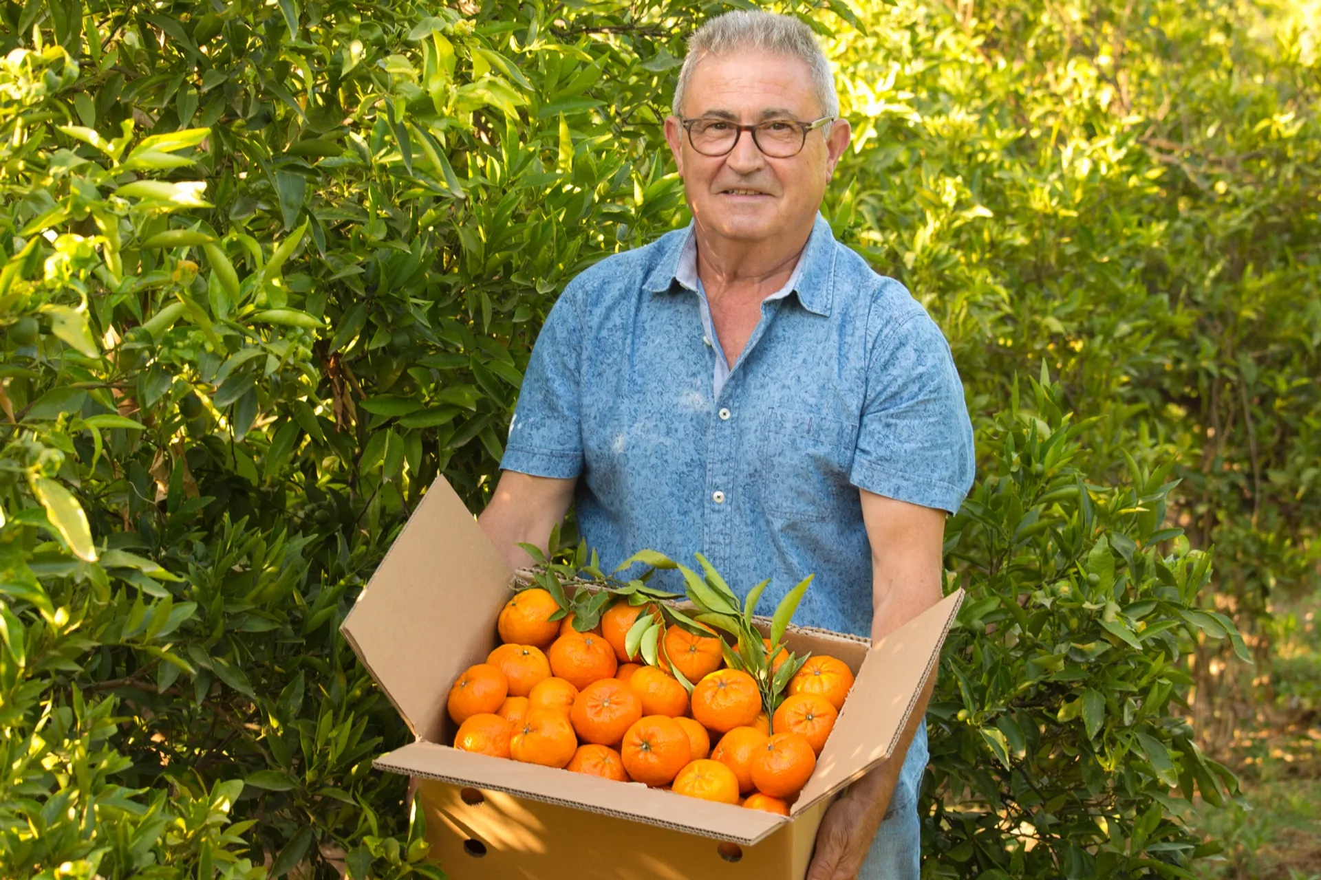 Clementines from CABET, Spain | CrowdFarming: farm fresh fruits and ...