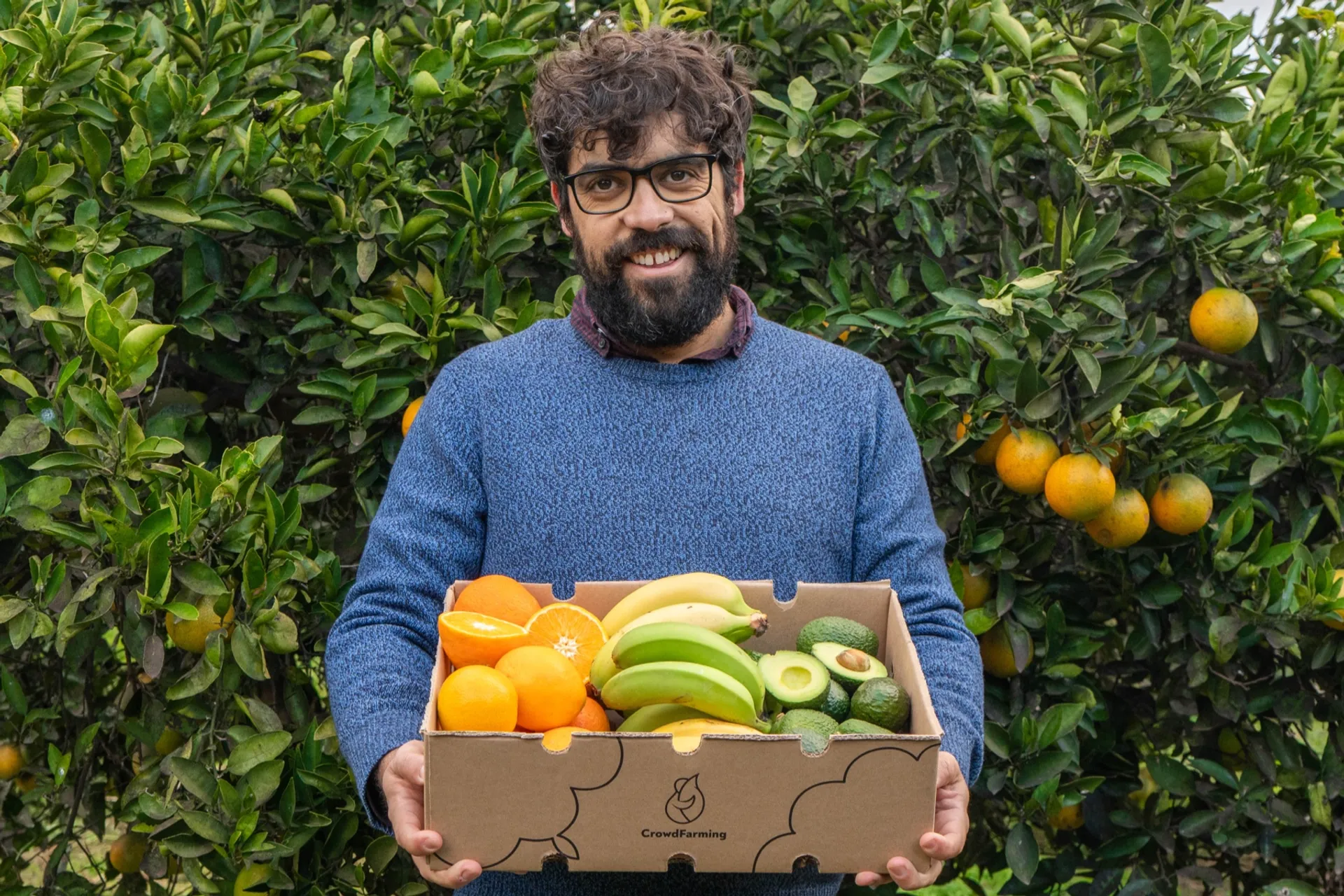 Oranges, Canary Island bananas and avocados from Unión de Fincas, Spain ...