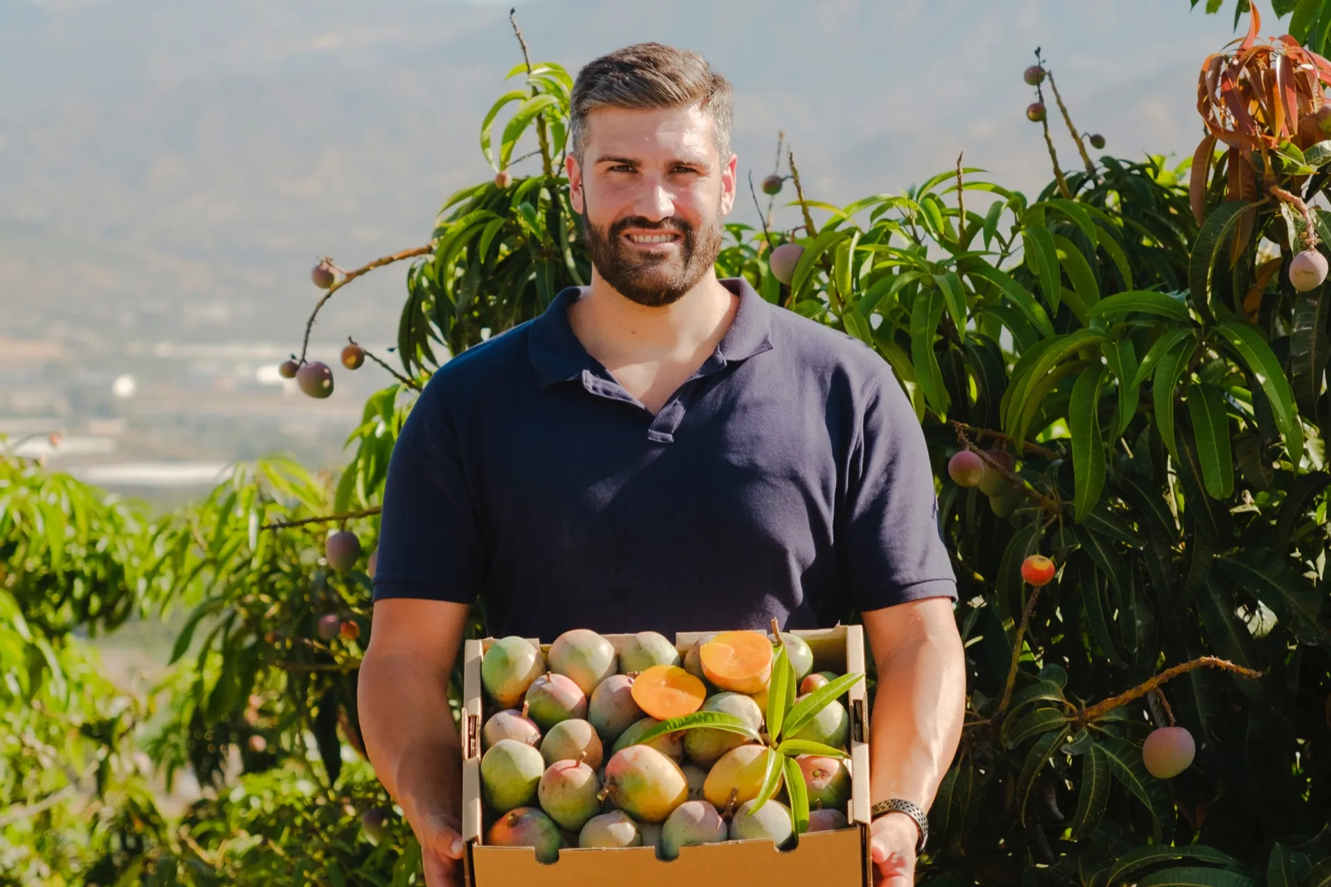 Lady Jane mangos from Cabrillas de Vélez, Spain | CrowdFarming: farm ...