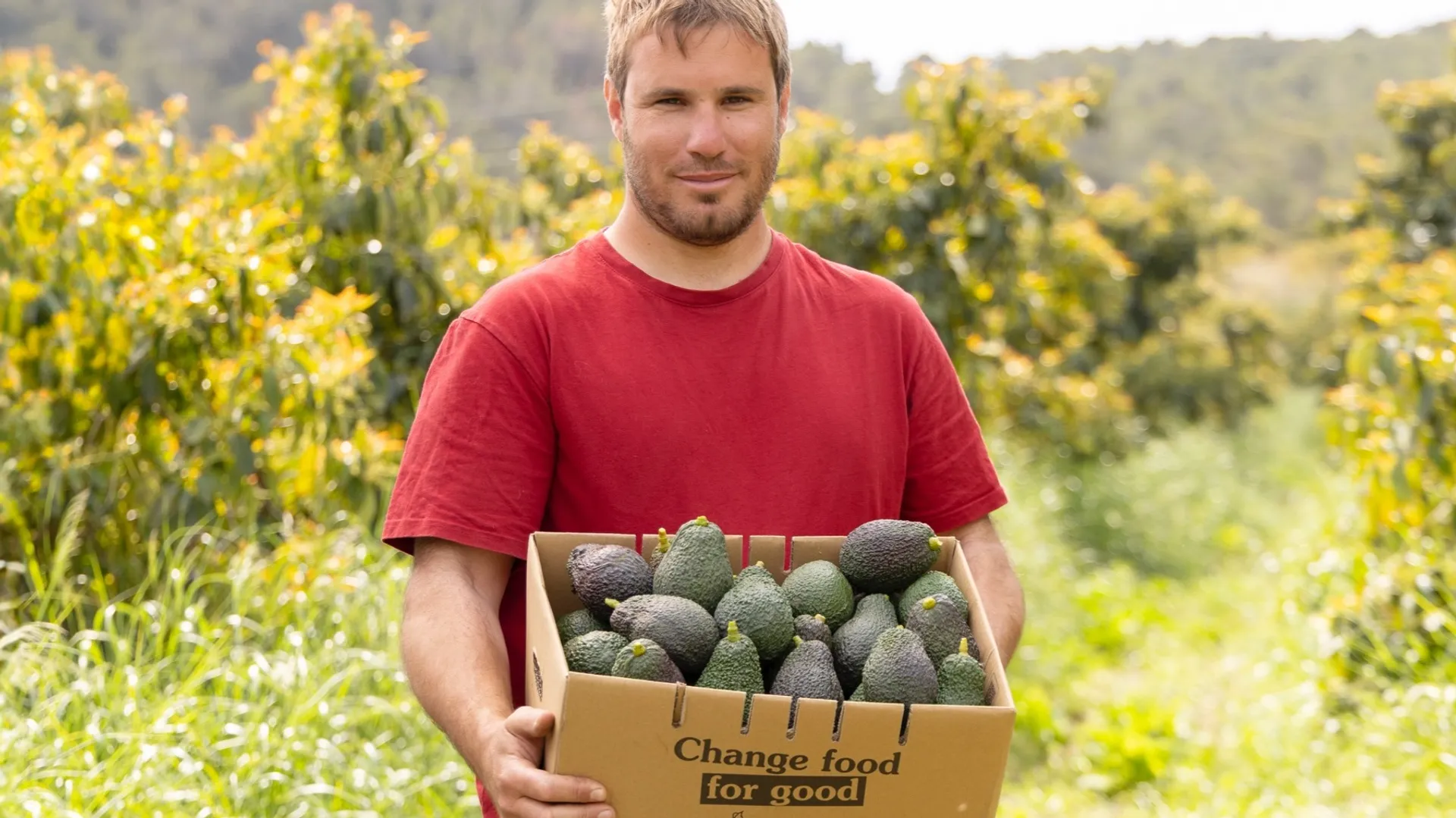 Organic Avocados from El Mandem | CrowdFarming