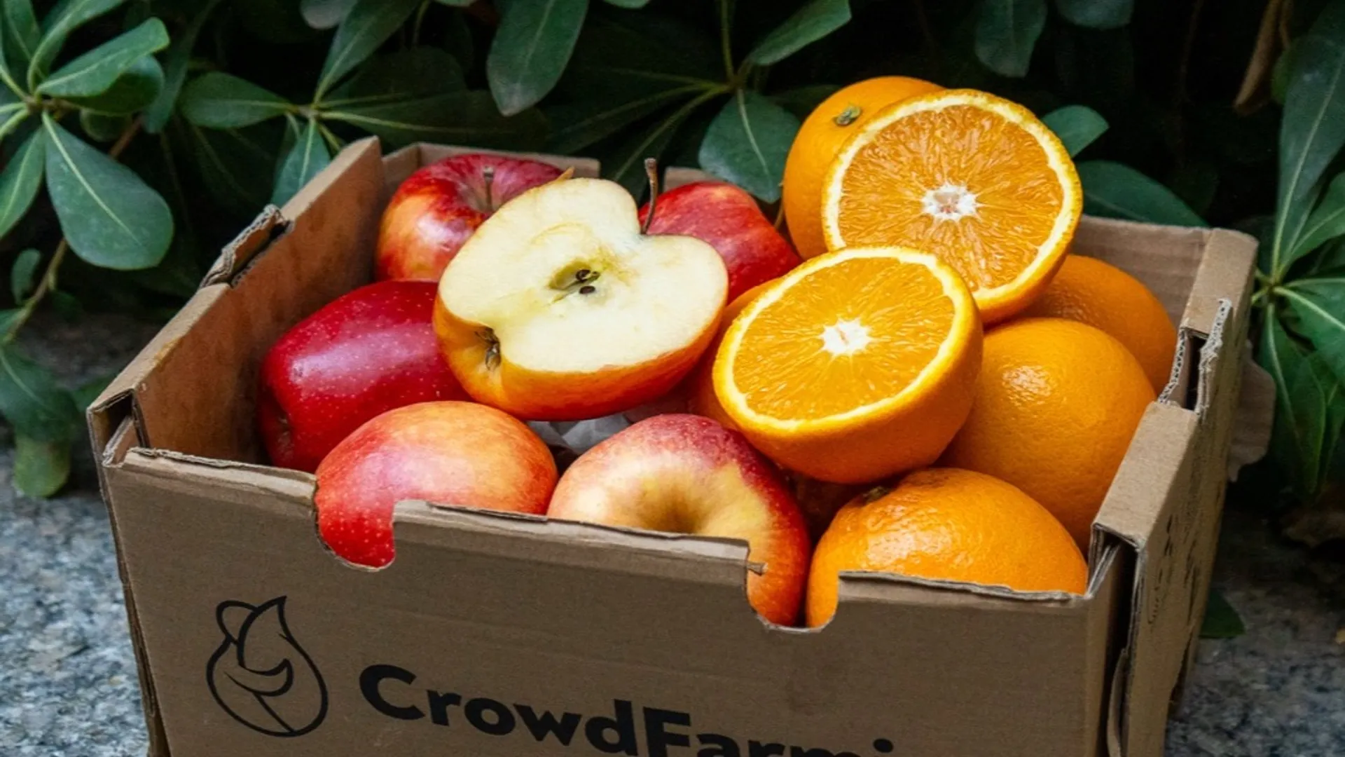 Organic Apples & Oranges mixed box in season from Europe | CrowdFarming