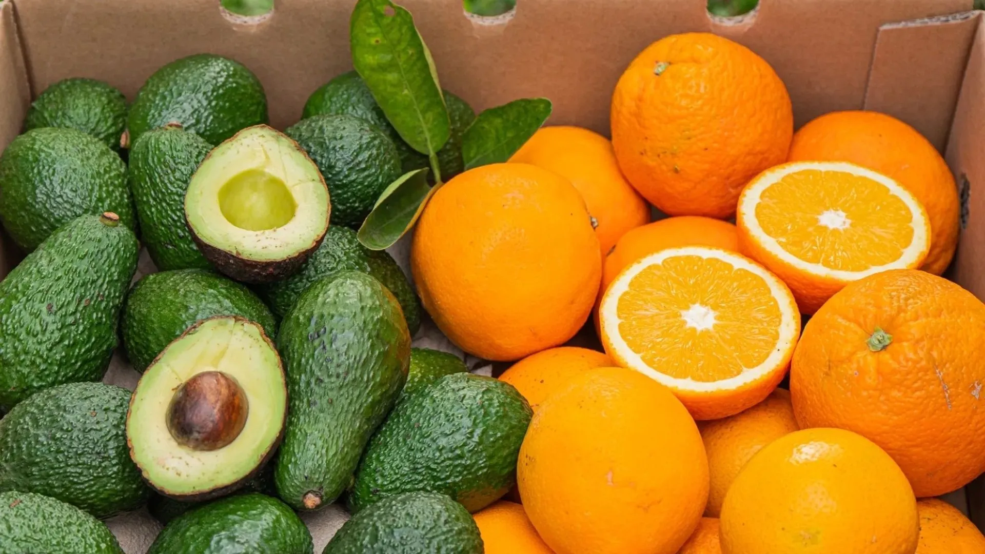 Organic Avocados & Oranges mixed box in season from Europe | CrowdFarming