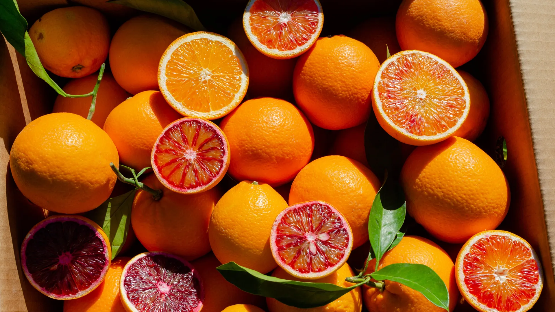 Organic Blood oranges from Arancebio | CrowdFarming