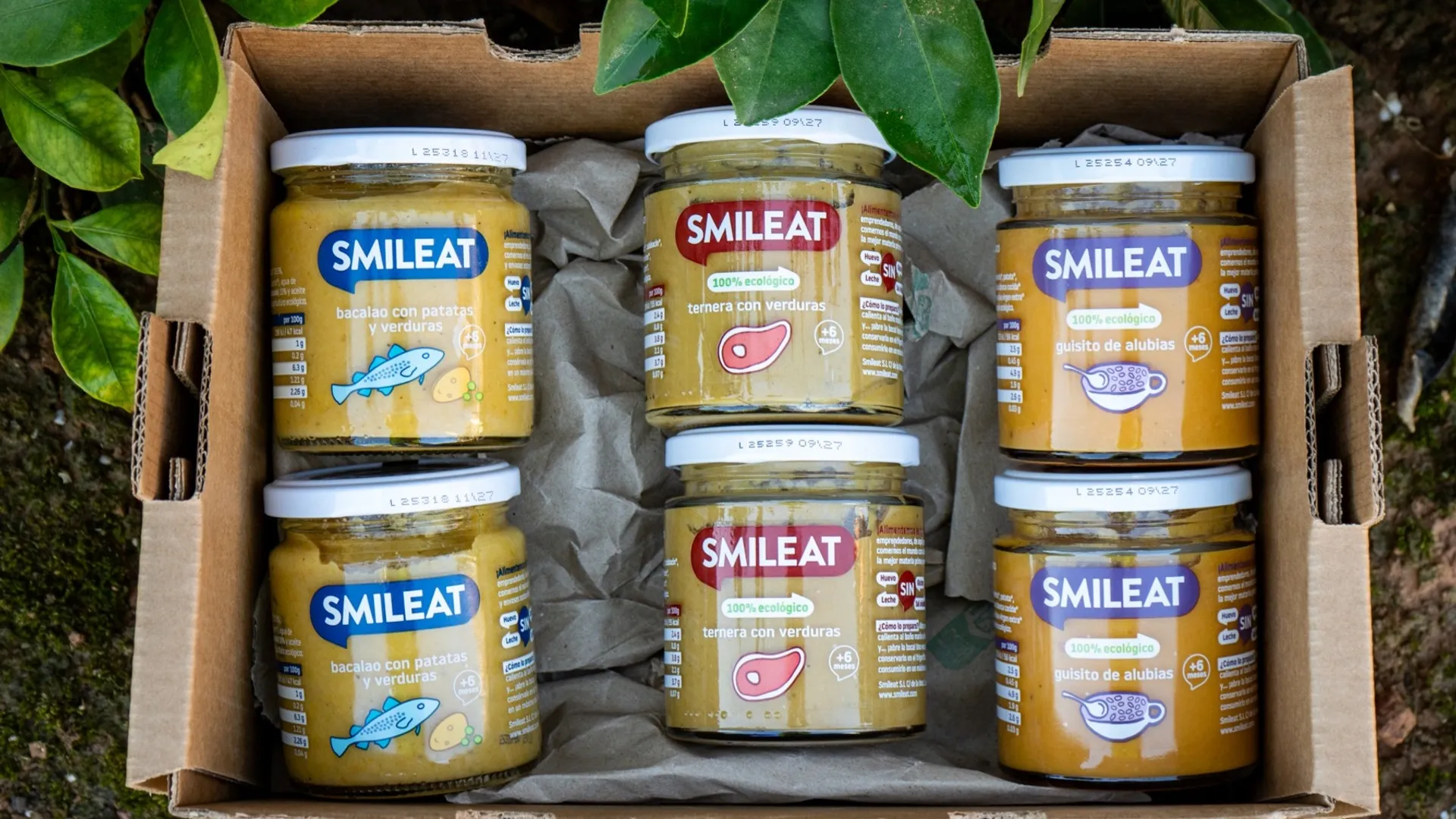 Organic Baby food & Baby food mixed box in season from Europe ...