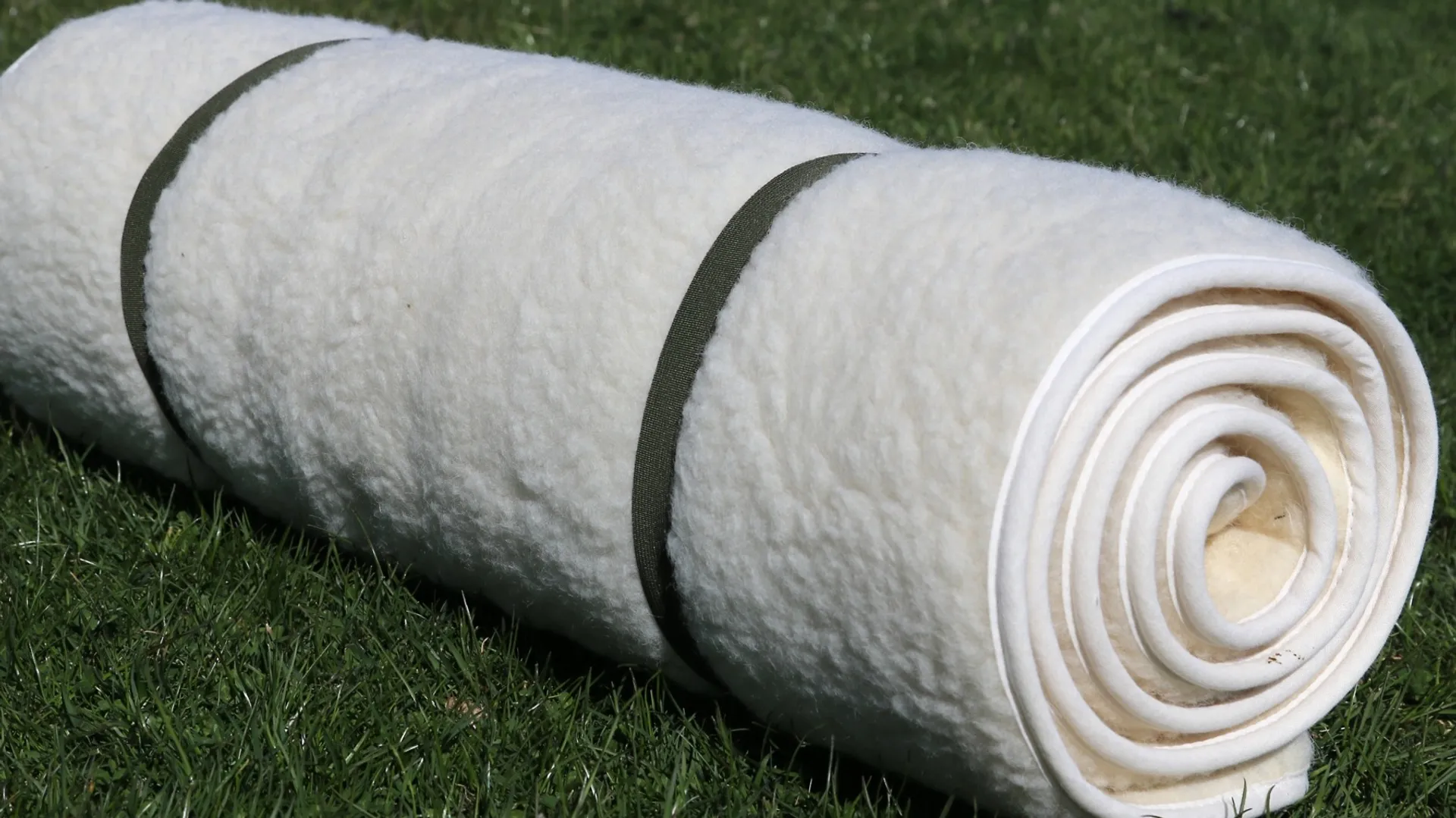 Organic Wool from Friesenhof | CrowdFarming