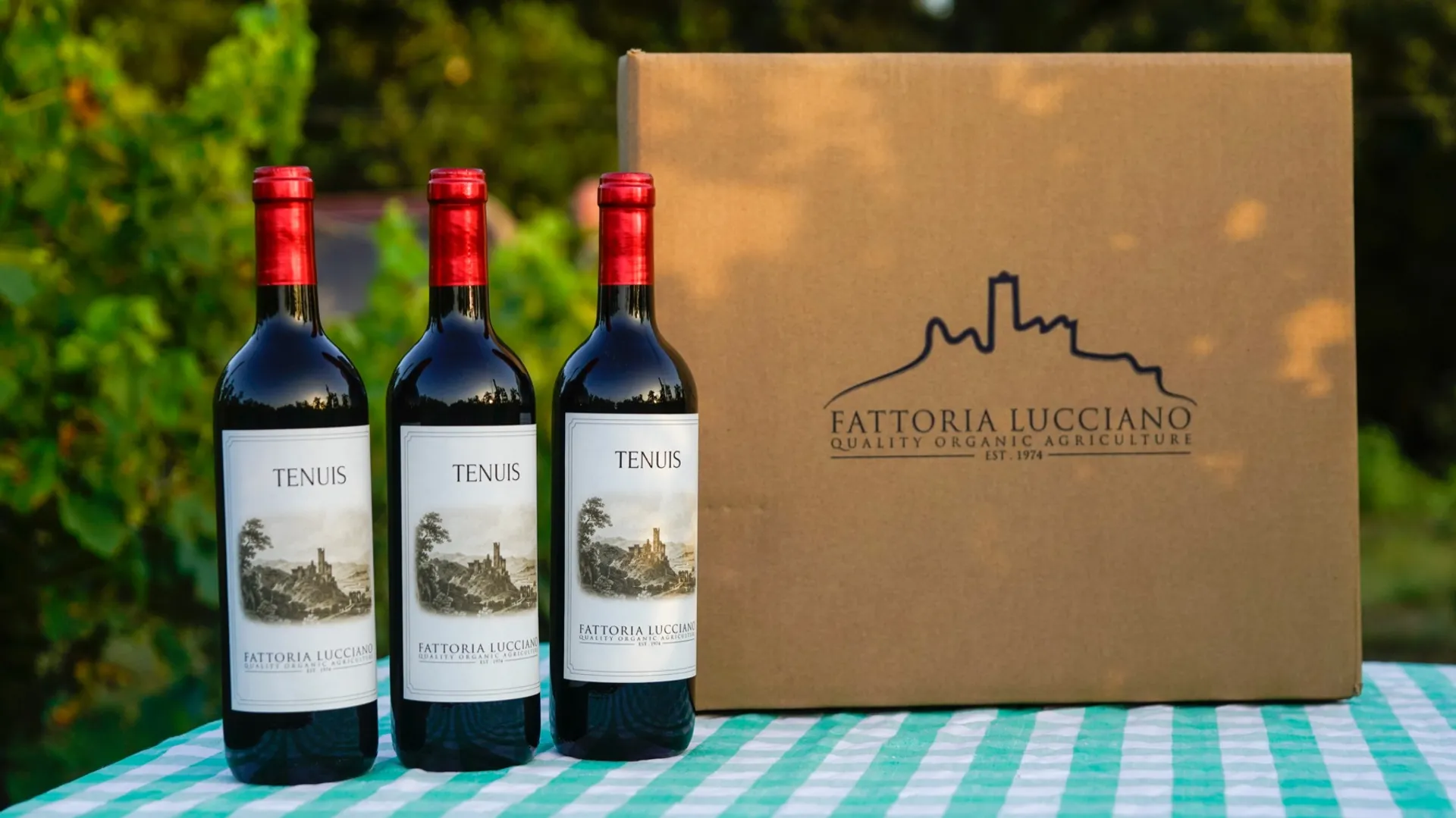 Bio-Rotwein von Fattoria Lucciano | CrowdFarming