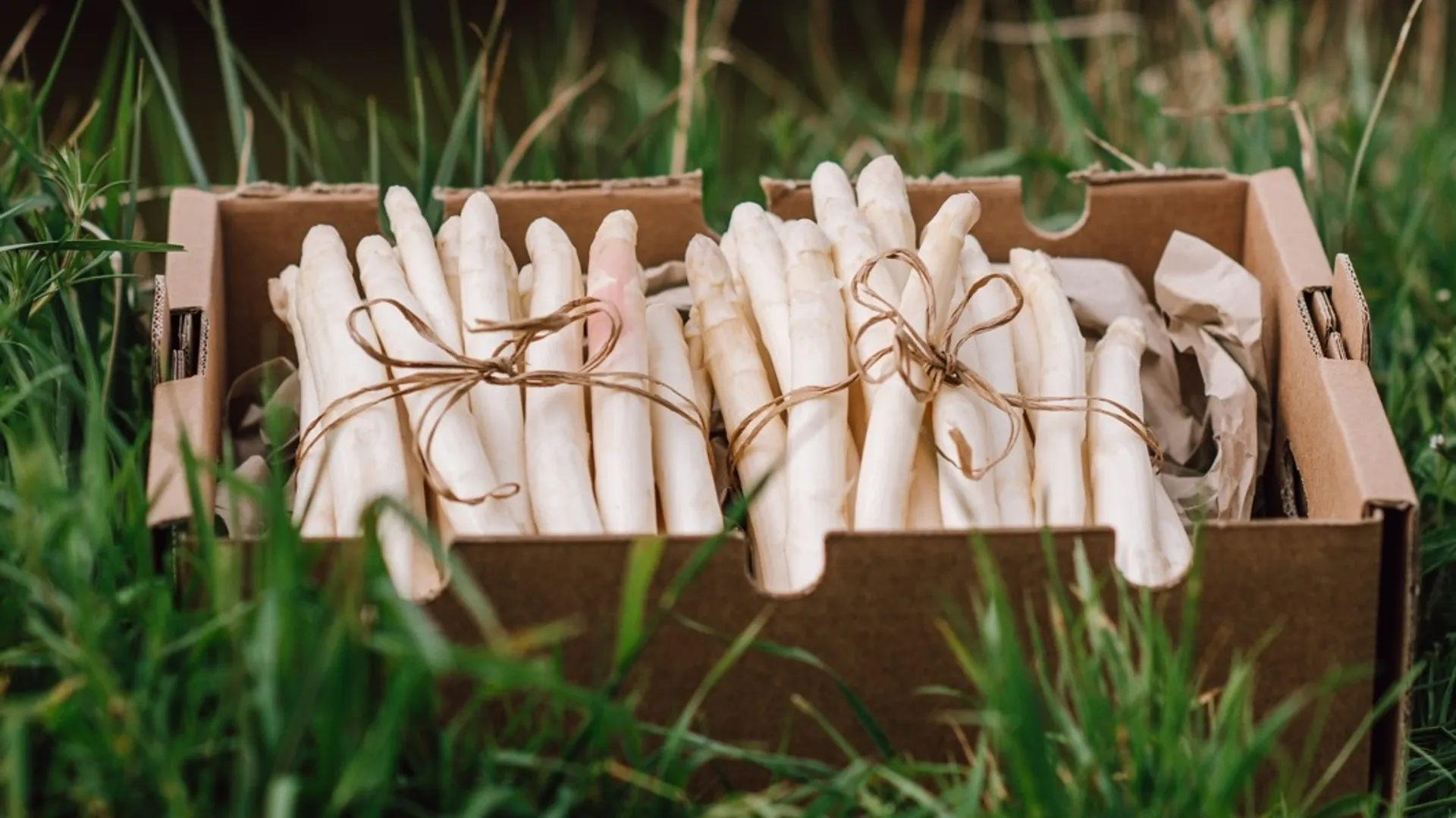 Asperges bio de Biohof Wencker | La Ruche qui dit Oui