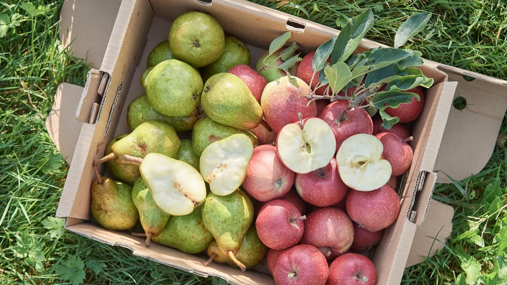 Organic Pears & Apples mixed box in season from Europe | CrowdFarming