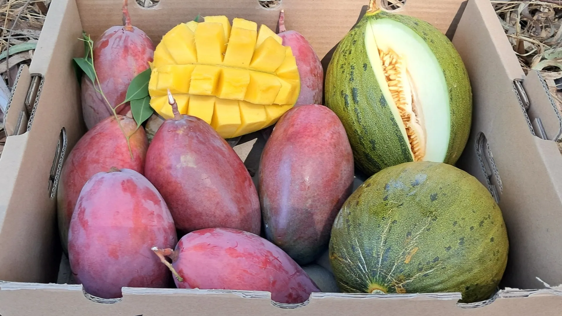 Organic Melons & Mangoes mixed box in season from Europe | CrowdFarming