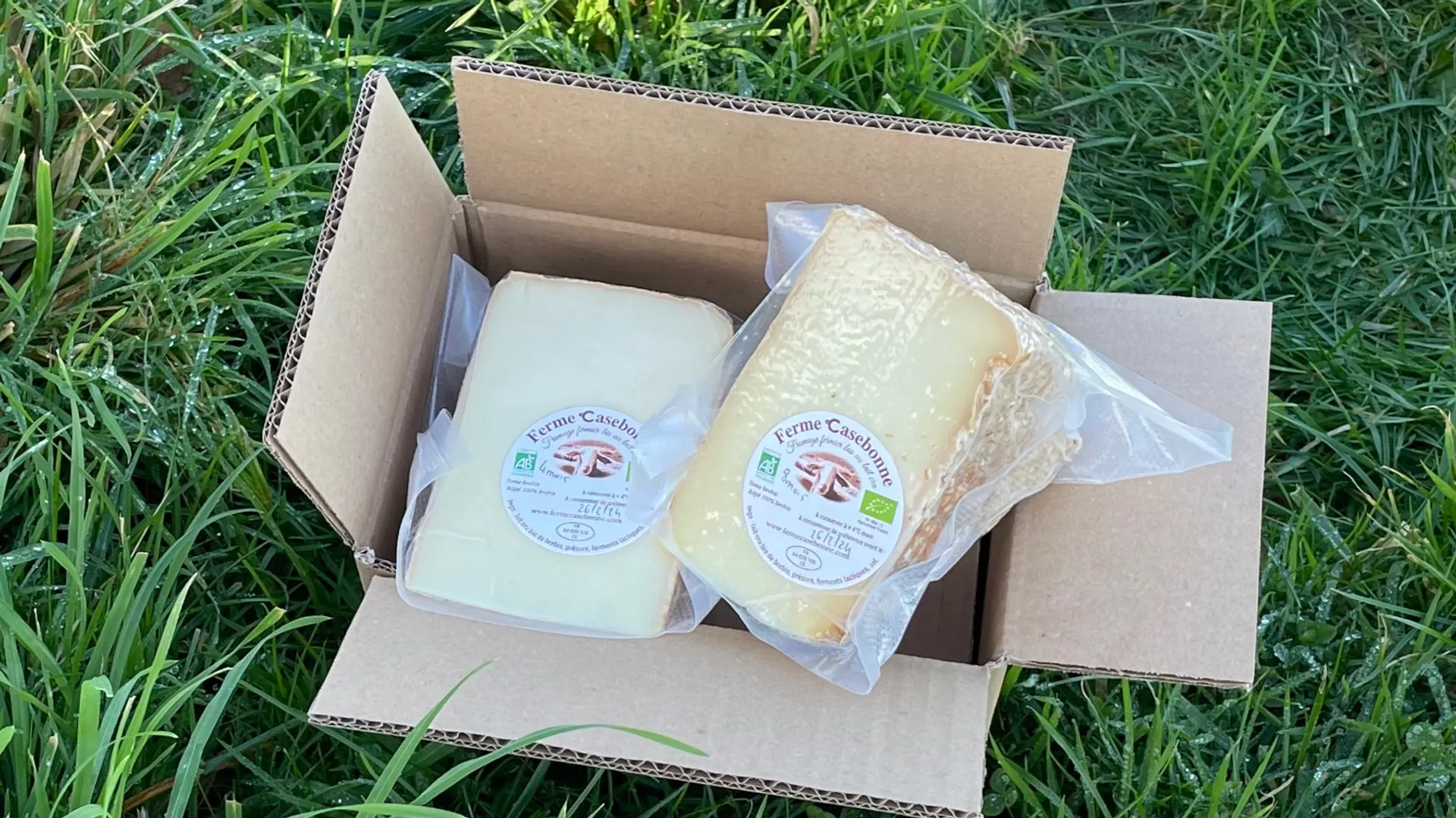 Organic Sheep cheese from Ferme Casebonne | CrowdFarming