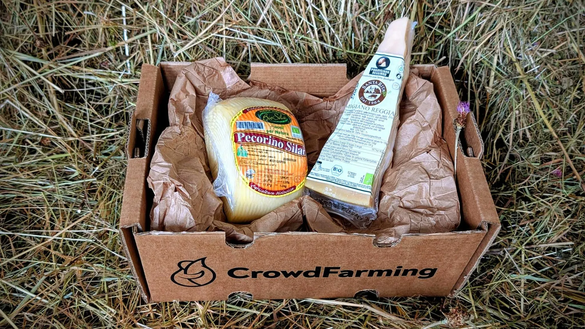 Organic Sheep cheese & Cheese blend mixed box in season from Europe ...